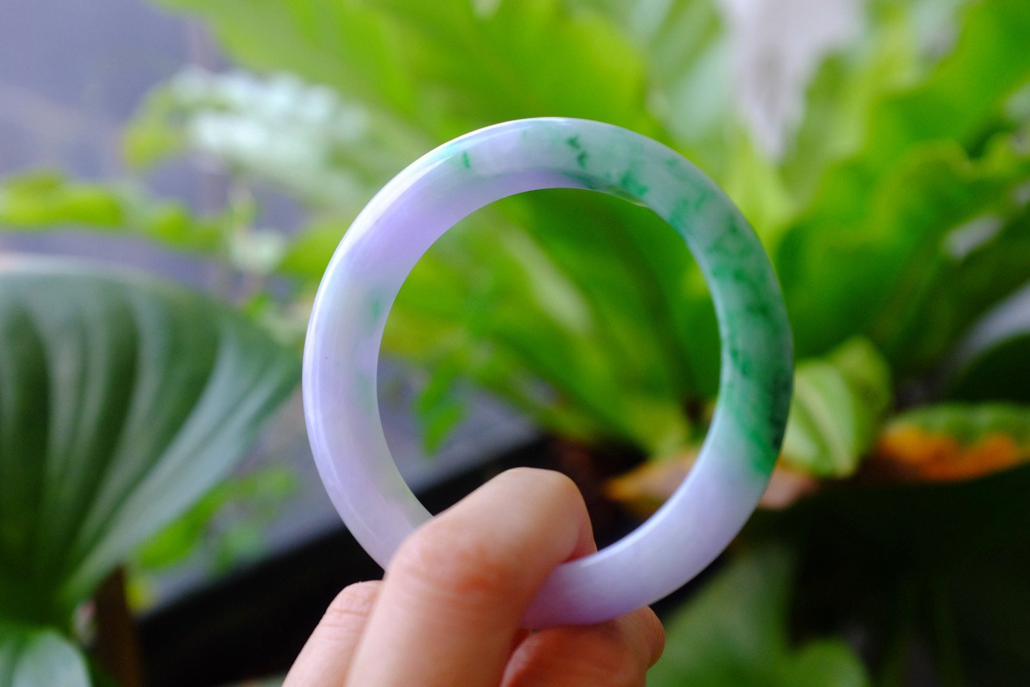 Bicolor Two Color Jade Bangle 55mm Type A GIA "4" | Gem Gardener