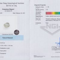 10ct Octahedron Diamond Rough Raw Gem | GEM GARDENER