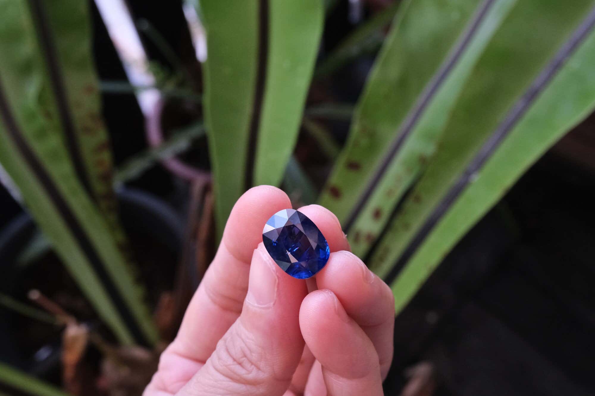 10ct Natural Royal Blue Sapphire Gem Stone | GEM GARDENER